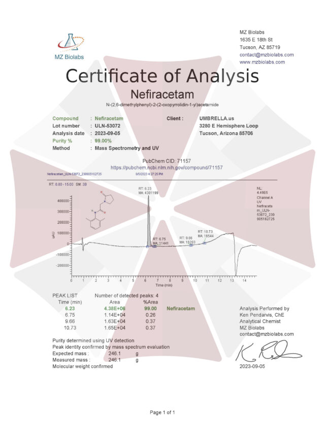 Umbrella Labs - Nefiracetam Nootropic 10 Grams