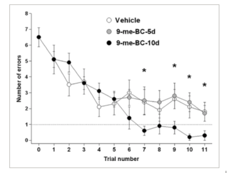 Umbrella Labs - 9-Me-Bc Nootropic Liquid 30mL (50mg/mL, 1500mg bottle)