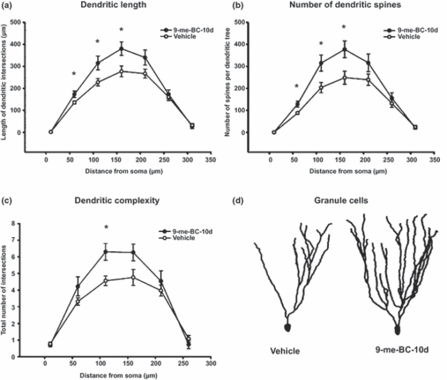 Umbrella Labs - 9-Me-Bc Nootropic Liquid 30mL (50mg/mL, 1500mg bottle)