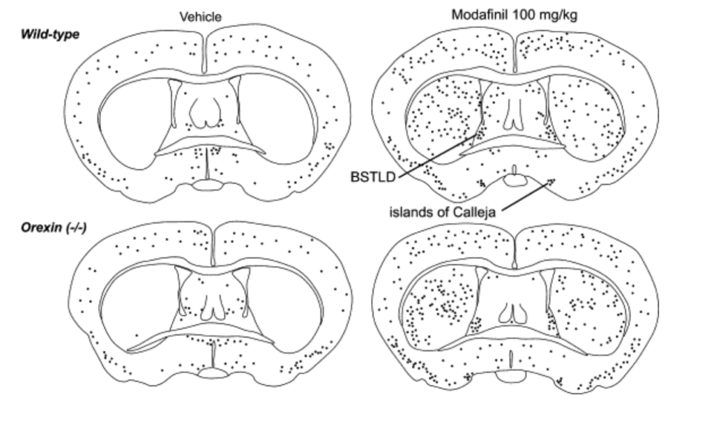 Umbrella Labs - FLModafinil CRL-40,940 Nootropic Liquid 30mL (50mg/mL ...
